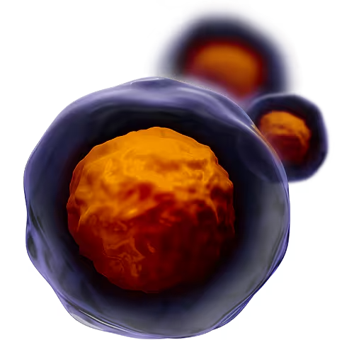 ProteinSimple-上海百翱杰生物科技有限公司